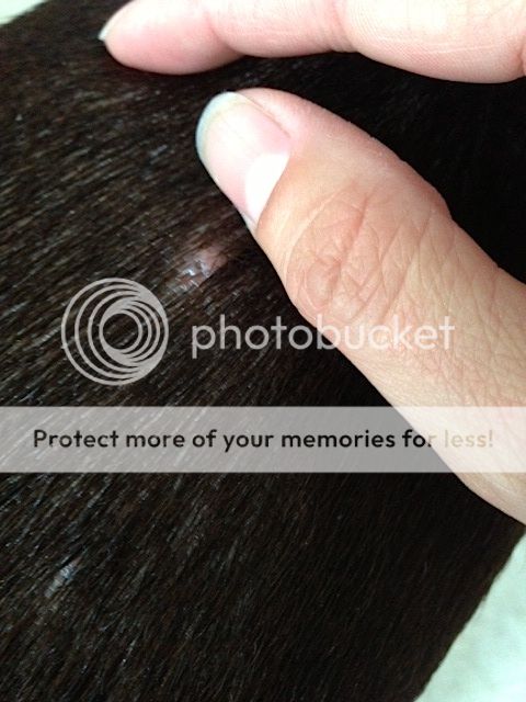 Another thread on skin issues | Doberman Chat Forum