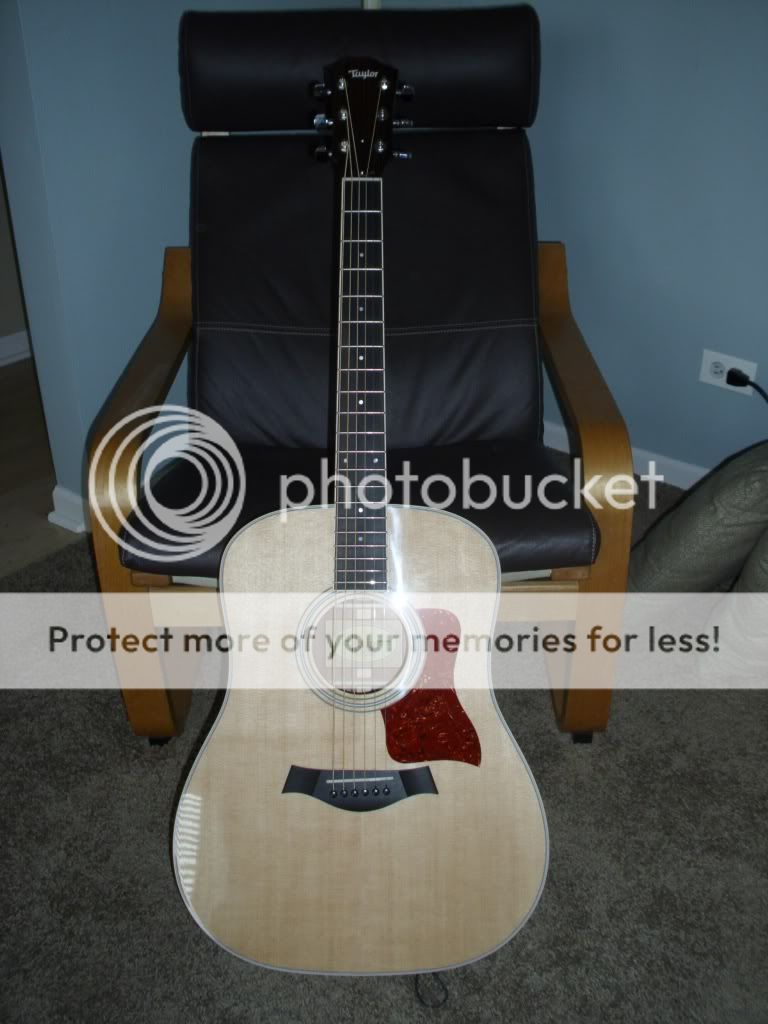 NGD - Taylor DN3 - The Acoustic Guitar Forum